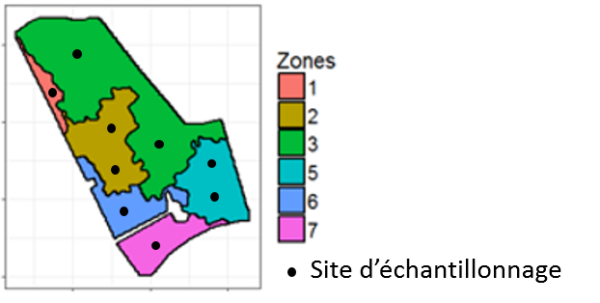 Optimisation de l'échantillonnage au champ : échantillonnage orienté ...