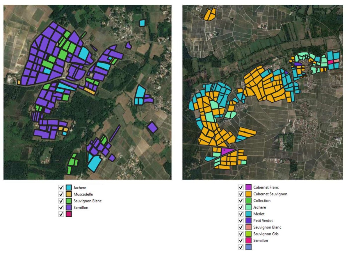 How to synthesize a history of vegetation maps on large parcels of land?